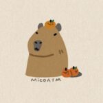 150+ Avatar Capybara cute, vô tri thịnh hành nhất hiện nay