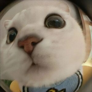 179+ Avatar memes hài hước nhất khiến bạn cười nghiêng ngả