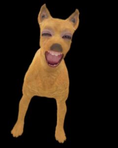 Tuyển chọn 99+ meme chó hài hước khiến bạn cười ra nước mắt