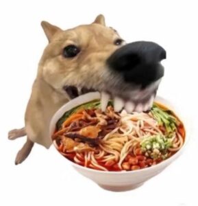 Tuyển chọn 99+ meme chó hài hước khiến bạn cười ra nước mắt