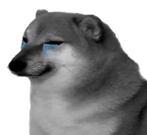 Tuyển chọn 99+ meme chó hài hước khiến bạn cười ra nước mắt