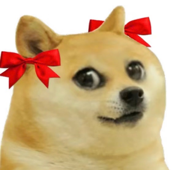 Tuyển chọn 99+ meme chó hài hước khiến bạn cười ra nước mắt