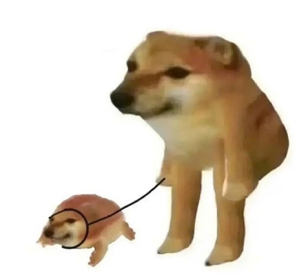 Tuyển chọn 99+ meme chó hài hước khiến bạn cười ra nước mắt